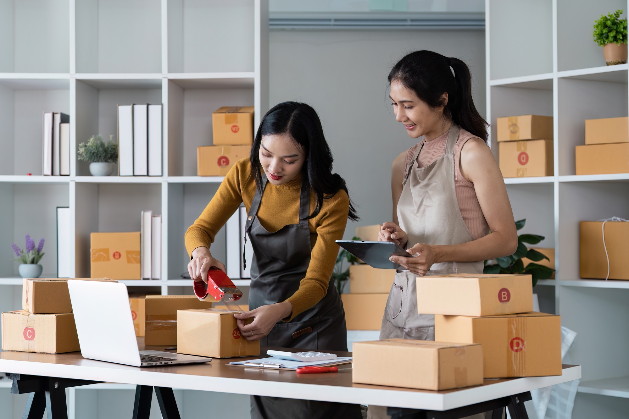Operations Transformation – Boston Business Consulting